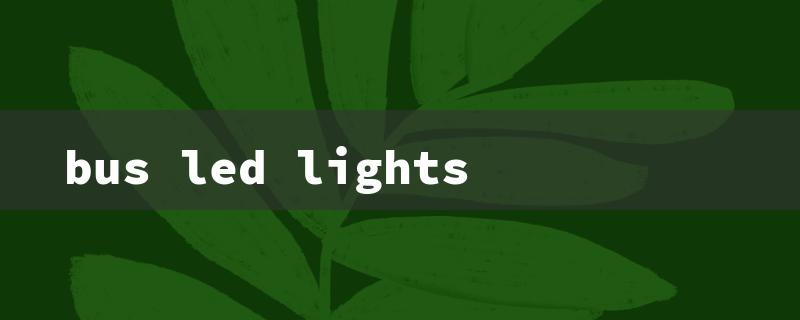 bus led lights（Bus LED Lights Purchase） | LED light website