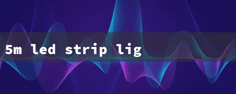 5m led strip light（5m LED Strip Light Kit） | LED light website