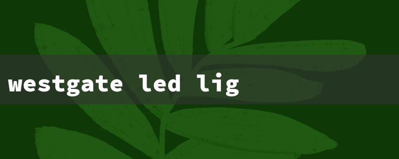 westgate led lights | LED light website