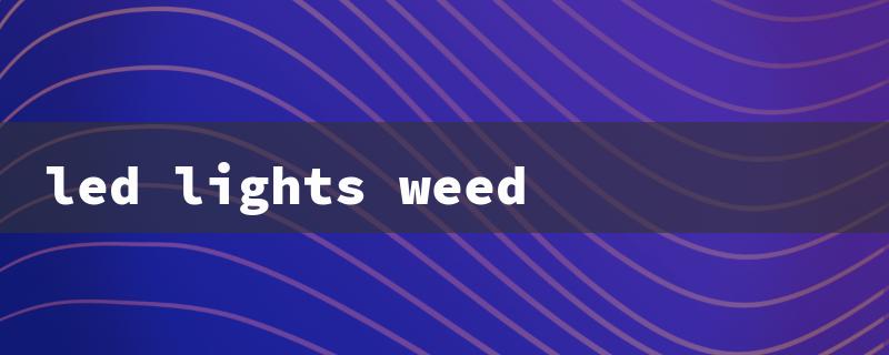 led lights weed（LED Light Weed Yield） | LED light website