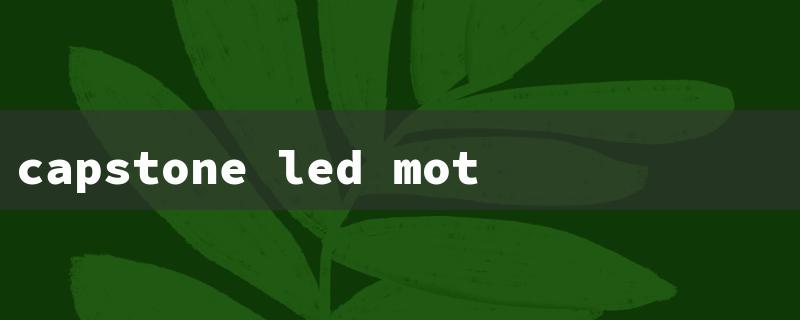 capstone led motion sensor light（LED Sensor Light On） | LED light website