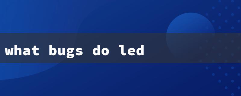 what bugs do led lights attract（LEDs & Insects） | LED light website