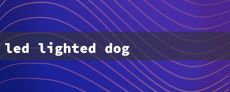 led lighted dog collar（LED Dog Collar） | LED light website